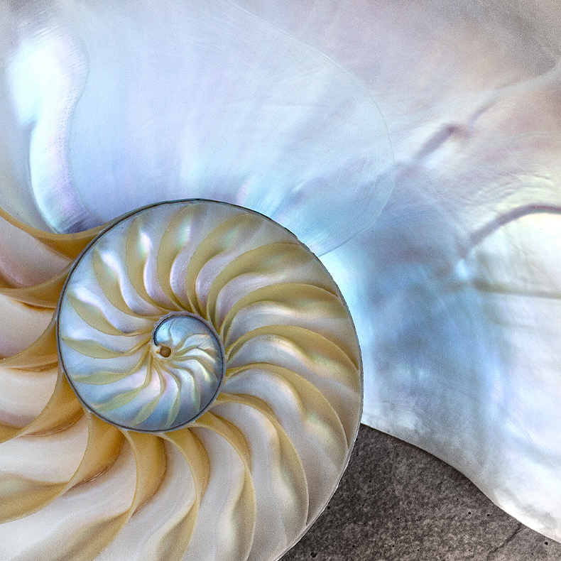 Women, Wealth and Investing—A Story of Evolution - John Reim | Morgan ...