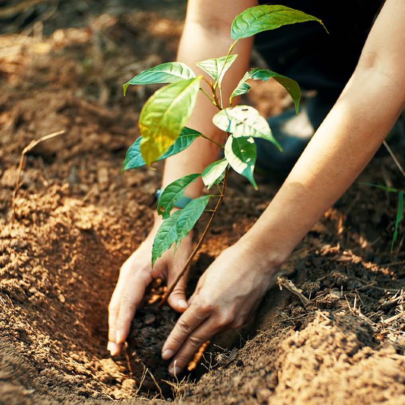 What's the Difference Between Saving and Investing? - Palm Beach ...