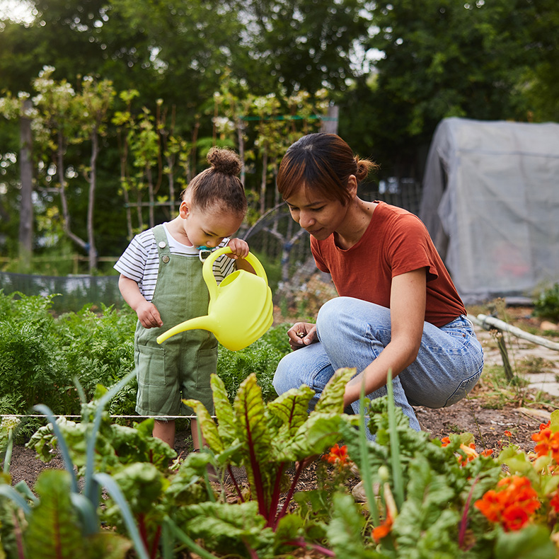 Donor Advised Funds: A Smart Way to Manage Your Giving - Mason Burke ...